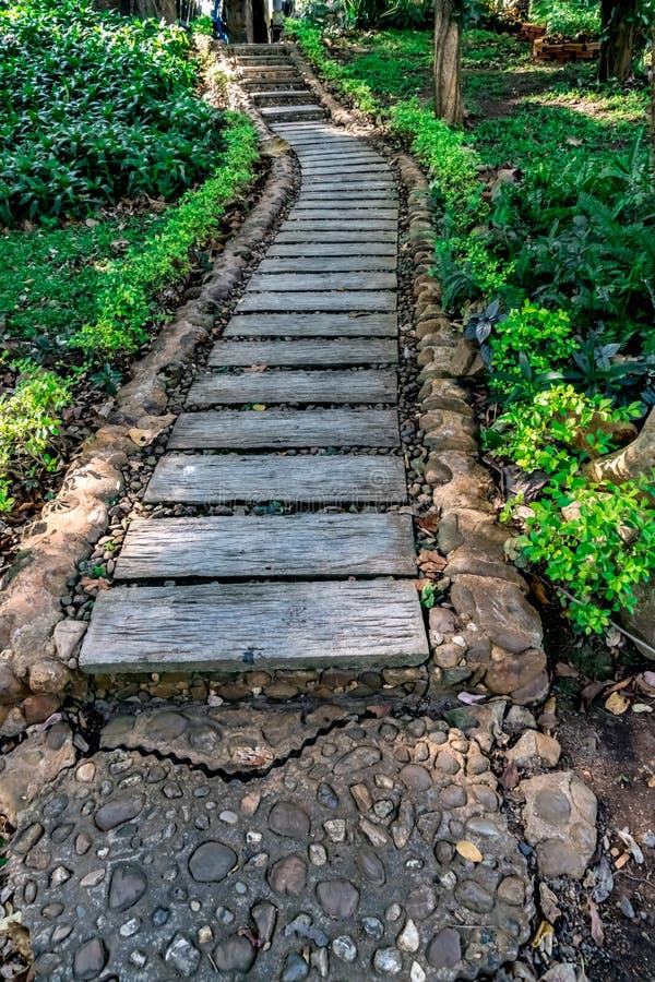 Concrete Pathway in garden stock image. Image of plant - 111086519