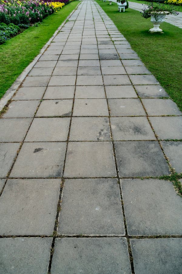 Pathway in park stock photo. Image of landscape, walk - 89707784