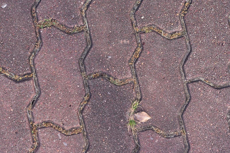 2,023 Cement Block Pathway Photos - Free & Royalty-Free Stock Photos ...