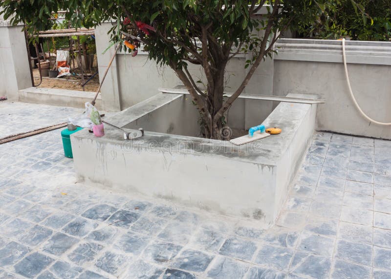 Concrete Box Around the Green Tree Stock Photo - Image of gray ...