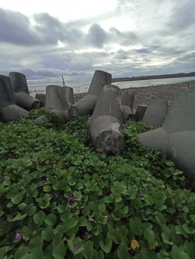 Concrete Breakwater in the Indian Ocean Stock Photo - Image of concrete ...