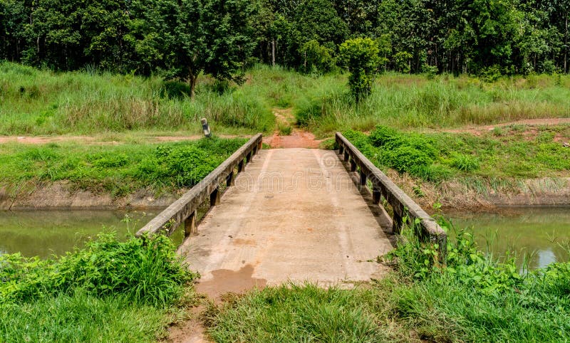 Concrete Bridge in Countryside Stock Image - Image of tree, path: 104343839