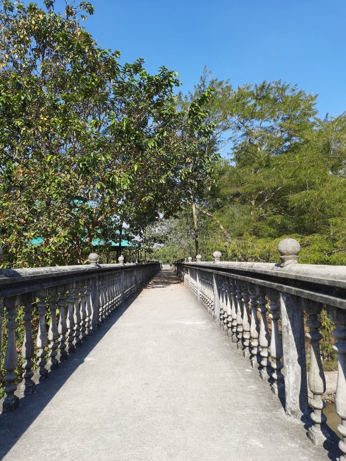 Concrete Build Walk Bridge Surrounded with Trees Stock Image - Image of ...