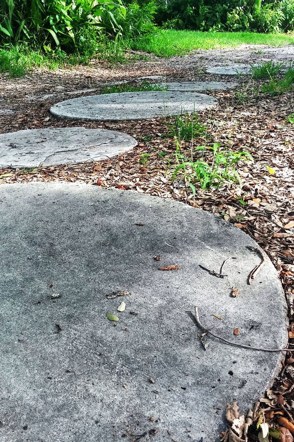 Circular Concrete Steps stock photo. Image of natural - 117676732