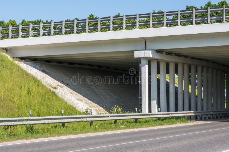 Concrete Columns Like Pillars of an Automobile Bridge Stock Photo ...