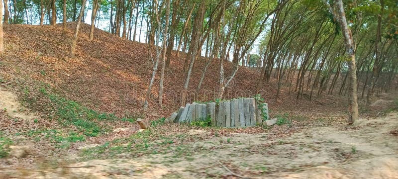 Concrete Construction Materials Stacked in Wooded Forest Construction ...