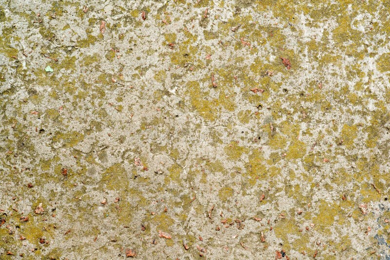 11,866 Moss Concrete Texture Stock Photos - Free & Royalty-Free Stock ...