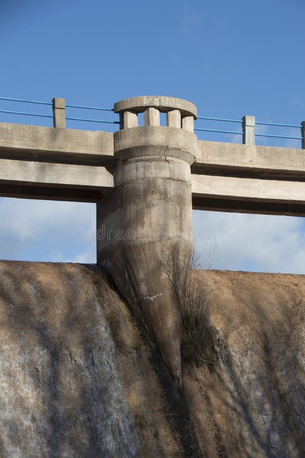 Images of the Swamp on a Sunny Summer Day Stock Photo - Image of basque ...