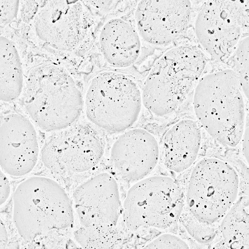 Cavity Map Stock Illustrations – 151 Cavity Map Stock Illustrations ...