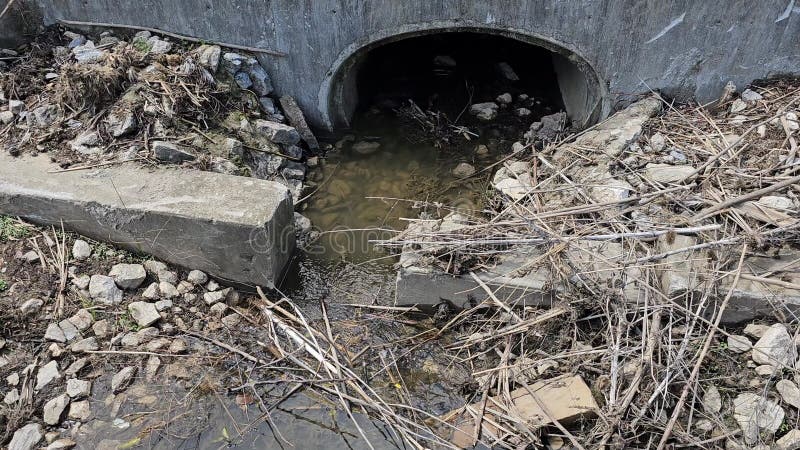 New Concrete Drainage Rainwater Collector, in a Concrete Pipe Stock ...