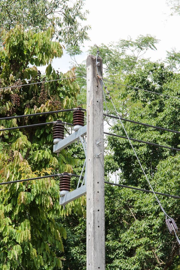 Electric Pole in the Forest Stock Image - Image of insulators, wire ...