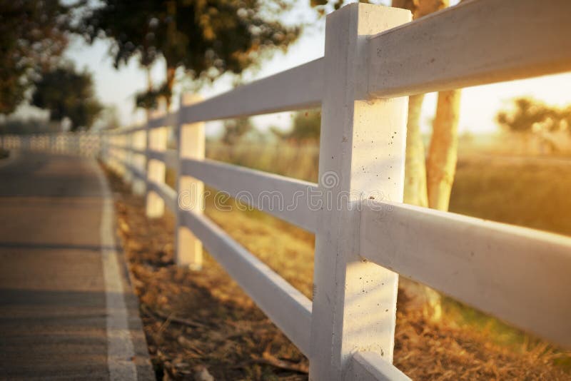 Concrete Fence with Path Way Stock Photo - Image of gardening, urban ...
