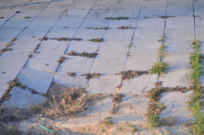 Concrete floor collapse. stock image. Image of floor - 107015089