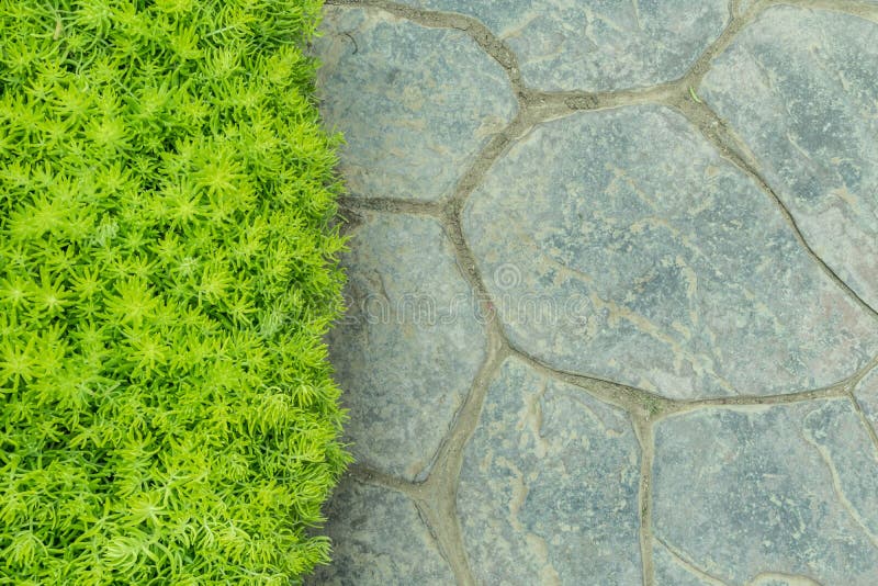 Concrete Floor and Green Plant Stock Image - Image of grass, park: 74474125