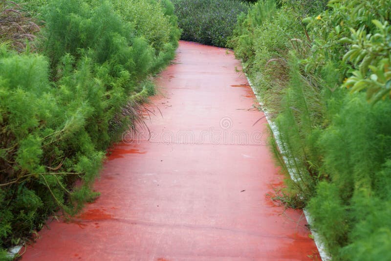 Concrete Floor Paint Orange Color for Bicycle Lane Stock Image - Image ...
