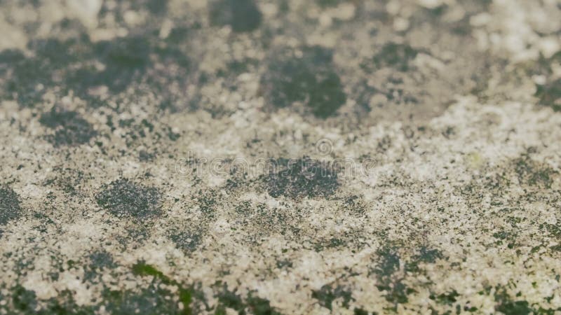 Concrete Floor Texture in Macro, Smooth Dolly Shot Stock Footage ...