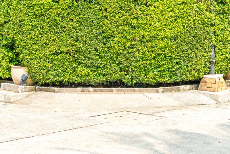 Concrete Floor with Tree Background Stock Image - Image of sidewalk ...