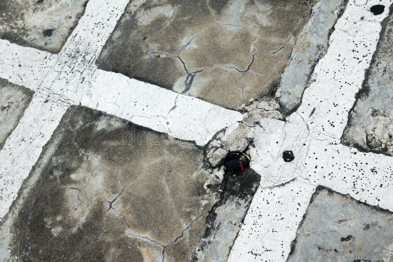 Concrete Floor with White Cross Line Stock Image - Image of dirty, grey ...