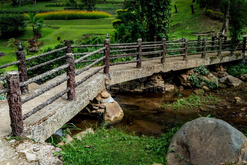 Concrete Footbridge Over the Stream Stock Image - Image of coast ...