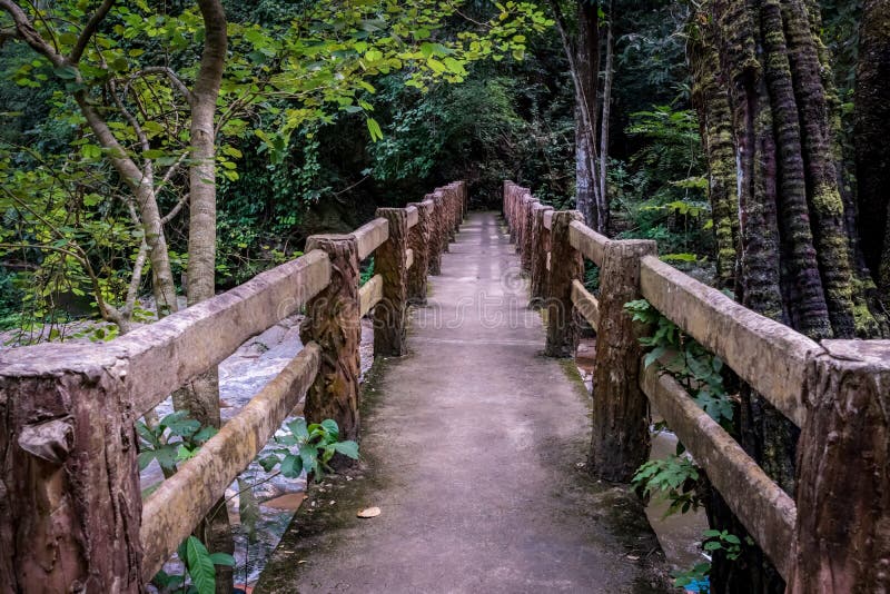 Concrete Footbridge Over the Stream Stock Photo - Image of forest ...