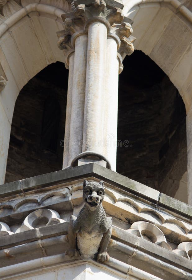 Gargoyle Wolf stock image. Image of wolf, gislebert, cathedral - 36239789