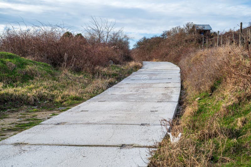 Concrete Panel Road in Nature. Autumn, Sunny Weather Stock Photo ...