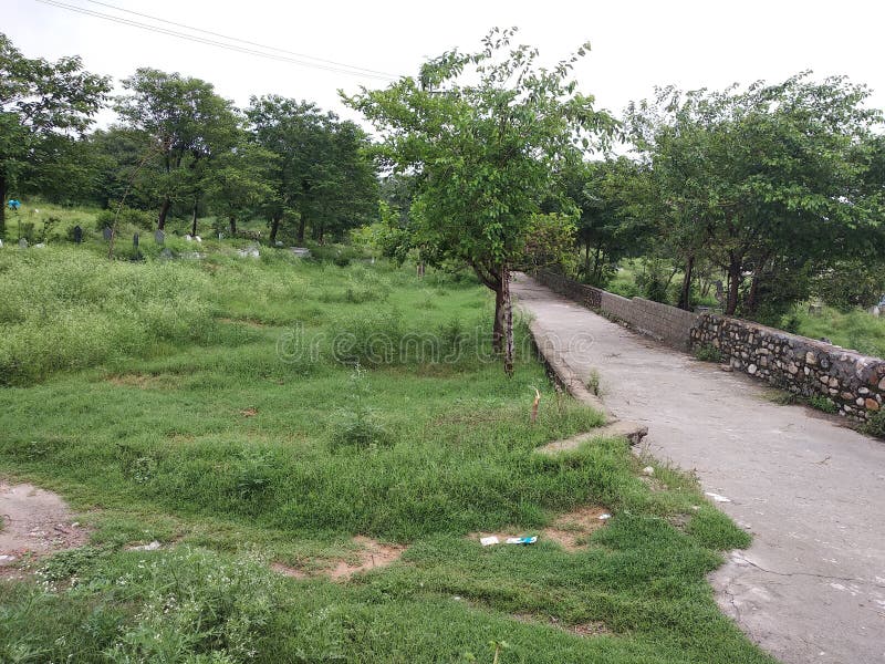 Concrete Path beside a Grassy Field with Trees Stock Photo - Image of ...