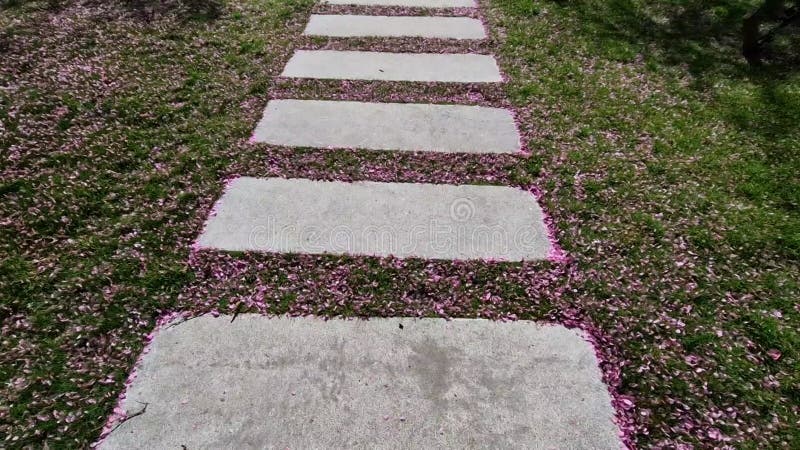 Concrete Path Lawn Pedal Rectangular Shape in Regular Grid Routed Stock ...