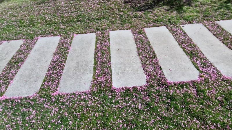 Concrete Path Lawn Pedal Rectangular Shape in Regular Grid Routed Stock ...