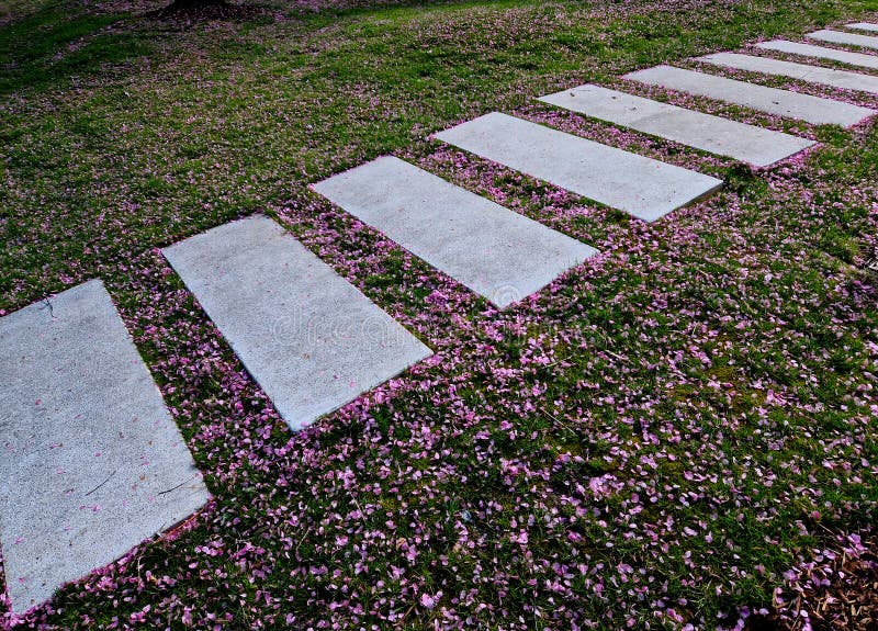 Concrete Path Lawn Pedal Rectangular Shape in Regular Grid Routed Stock ...