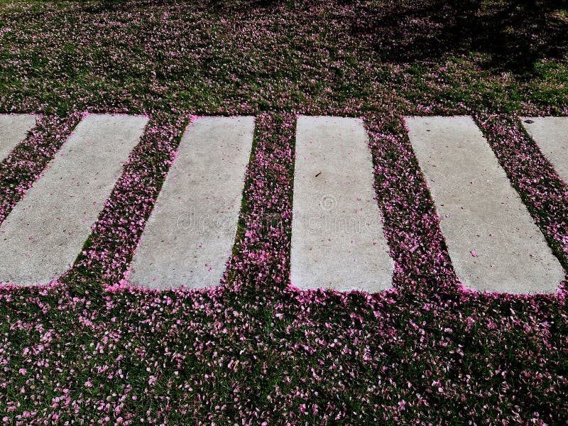 Concrete Path Lawn Pedal Rectangular Shape in Regular Grid Routed Stock ...