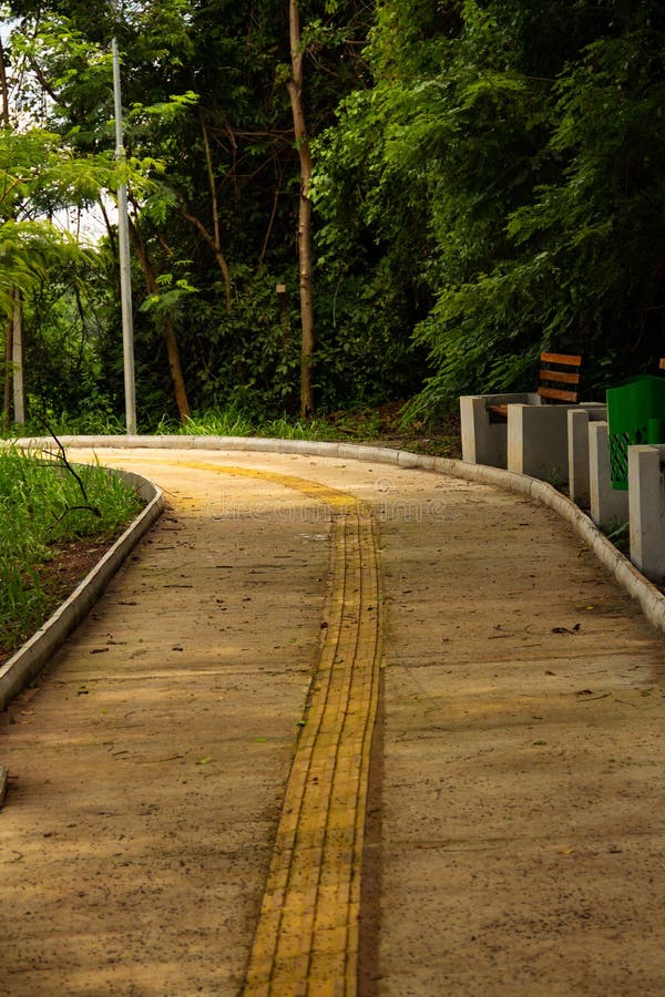 A Concrete Path Made in the Middle of a Wood. Stock Image - Image of ...