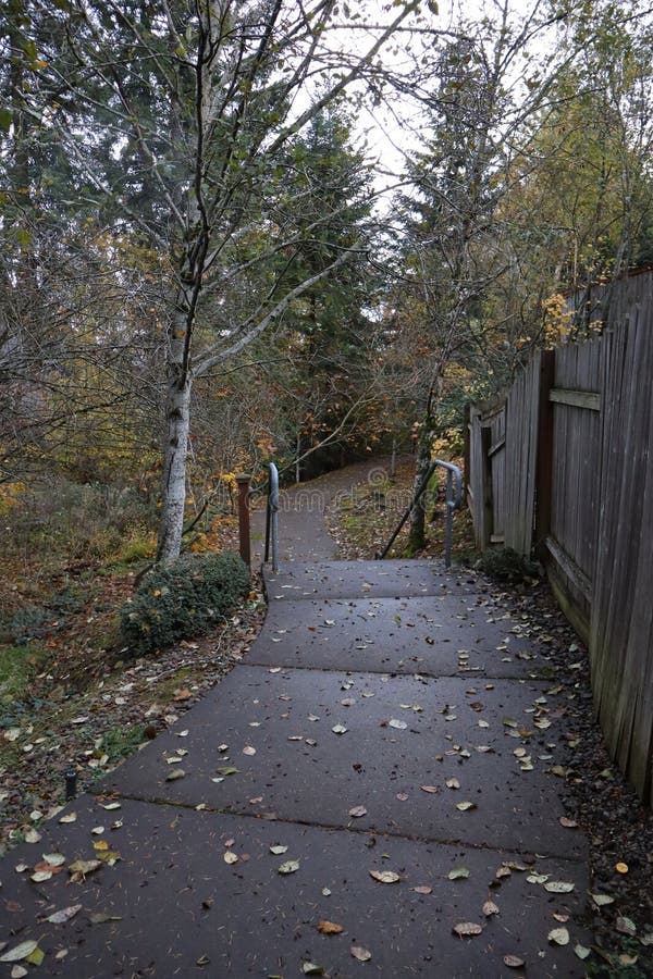 Concrete Path Surrounded by Nature Stock Image - Image of autumn ...