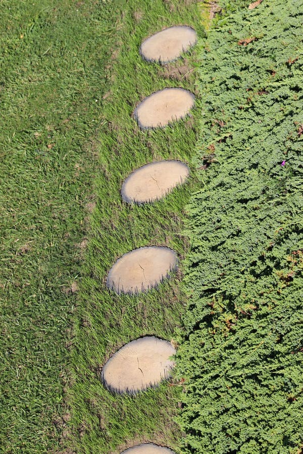 Concrete Paths in the Home Garden Stock Image - Image of round, path ...