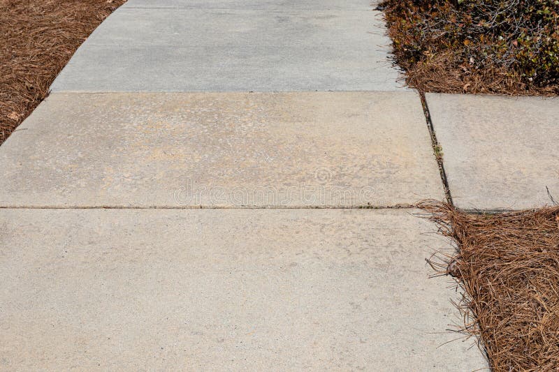 Concrete Paths Intersect in Area with Pine Straw, Creative Copy Space ...