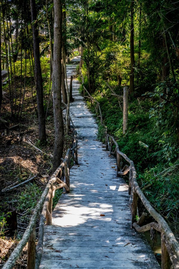 564 Concrete Pathway Railing Stock Photos - Free & Royalty-Free Stock ...