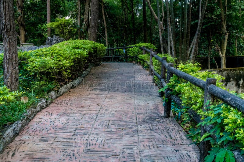 Concrete Pathway in garden stock photo. Image of walk - 109378932