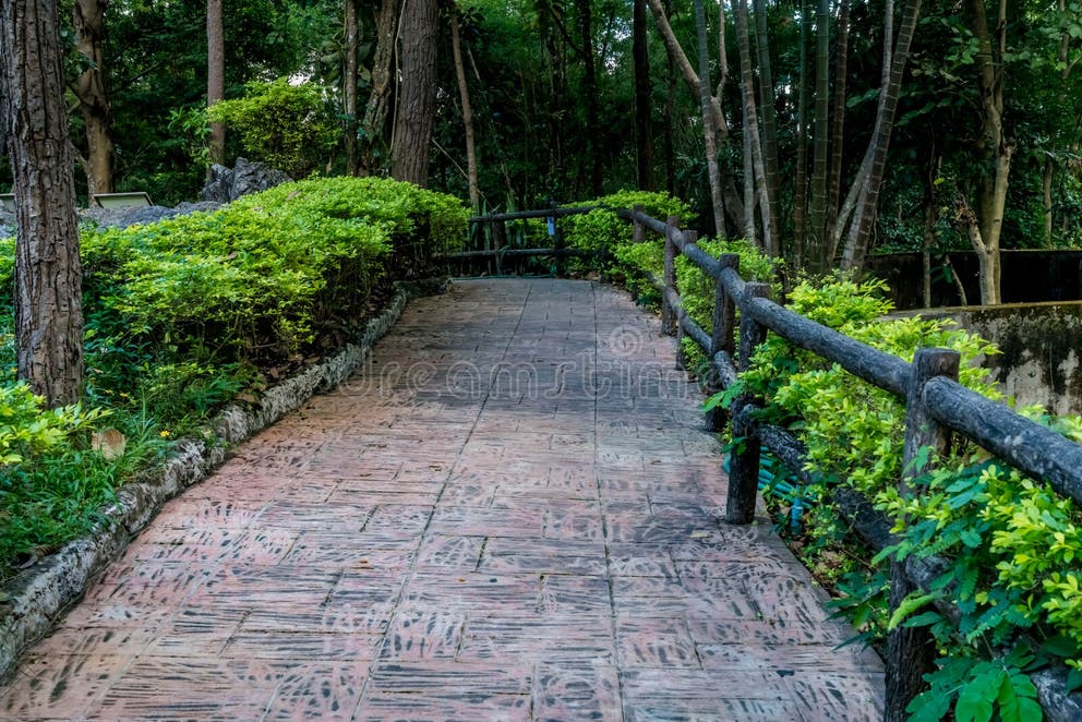 Concrete Pathway in garden stock photo. Image of walk - 109378932