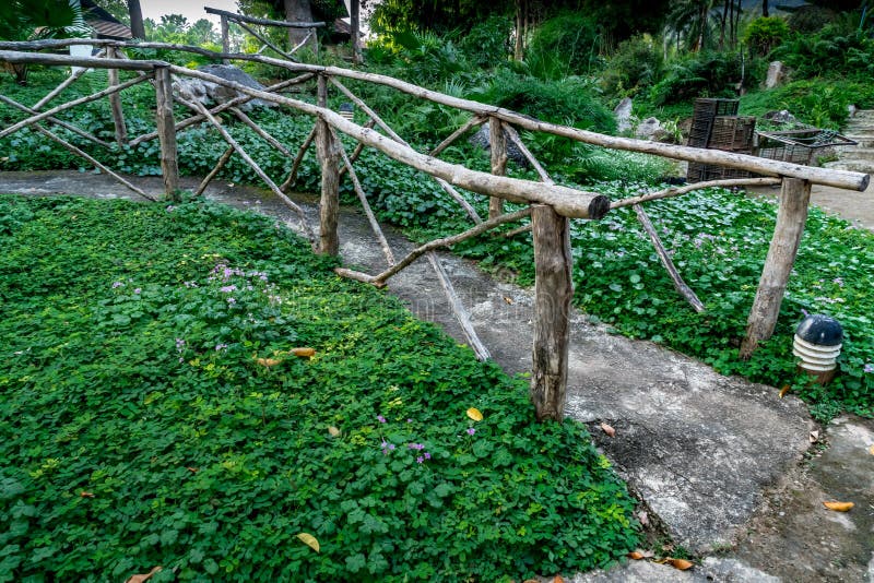 Concrete Pathway stock photo. Image of nature, background - 106528814