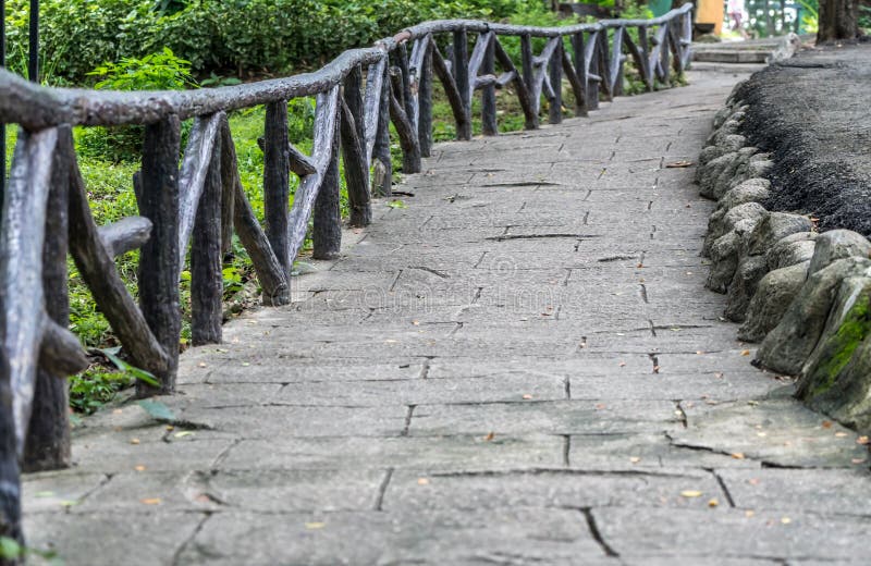 Concrete Pathway in garden stock photo. Image of background - 77642574