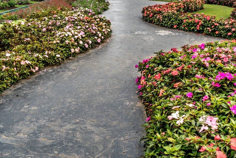 Concrete Pathway in garden stock image. Image of beautiful - 114379661