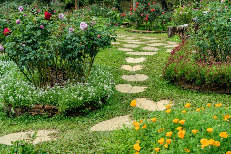 Concrete Pathway in garden stock image. Image of outdoor - 84384193