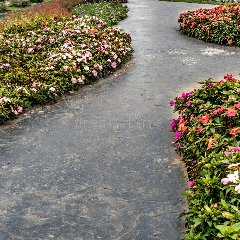 Concrete Pathway in garden stock photo. Image of green - 87962800
