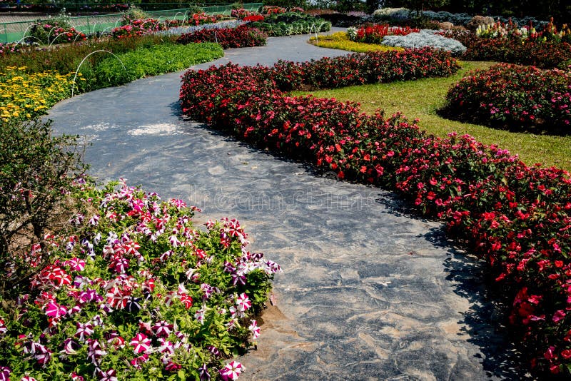 Concrete Pathway in garden stock photo. Image of beautiful - 79631476