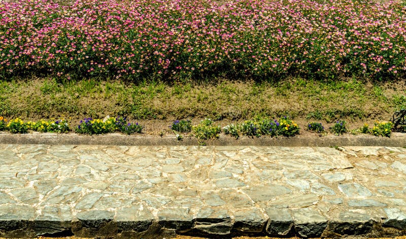 Concrete Pathway in garden stock photo. Image of spring - 92498226
