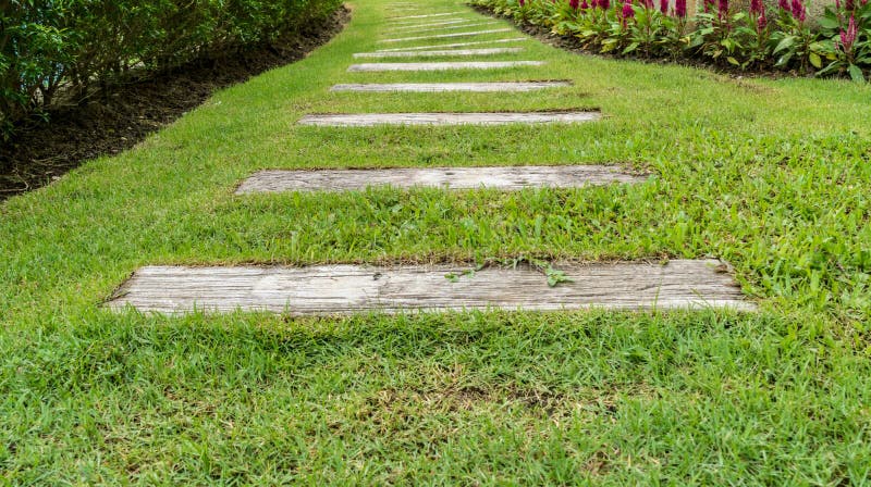 Concrete Pathway in garden stock image. Image of leaf - 78272523