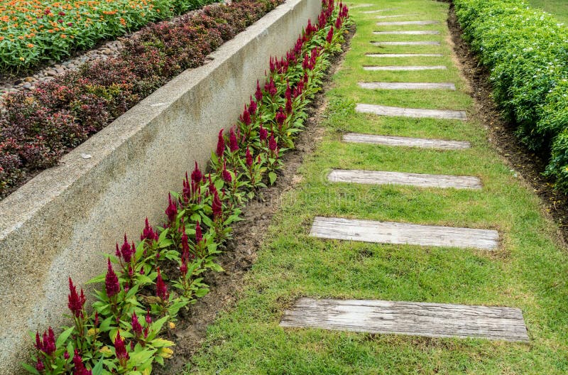Concrete Pathway in garden stock image. Image of walk - 79388423