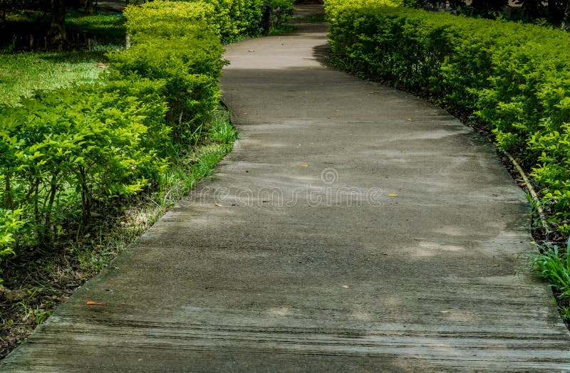Concrete Pathway in garden stock photo. Image of bush - 94253198