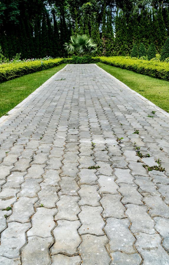 Concrete Pathway in garden stock image. Image of background - 95705661