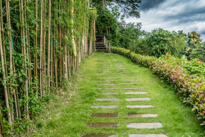 Concrete Pathway in garden stock image. Image of outdoor - 78070833